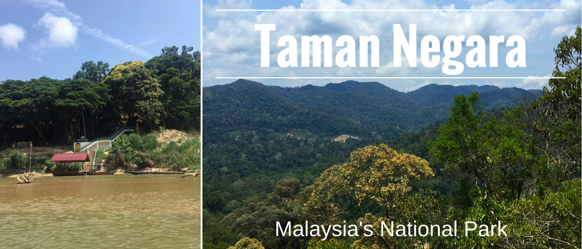 Taman Negara – National Park of Malaysia – South East Asian Adventures